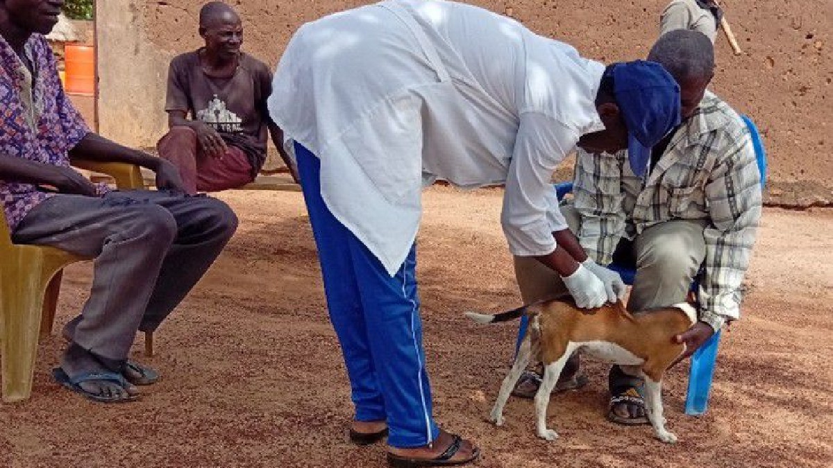 Ouagadougou : Le vaccin antirabique fixé à 1 400 F CFA (Communiqué ...